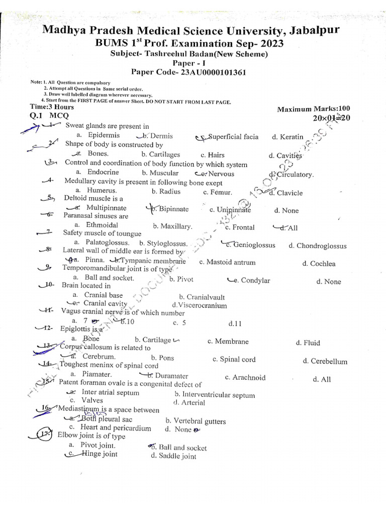 Privious Year Papers MP | PDF