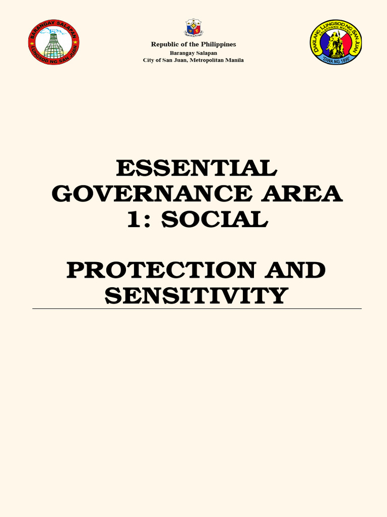 Social Protection Governance in Barangay | PDF | Domestic Worker ...