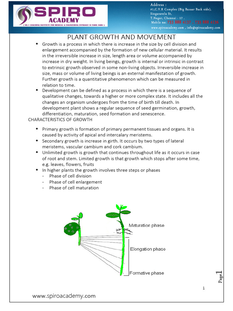 Understanding Plant Growth and Development | PDF | Auxin | Seed