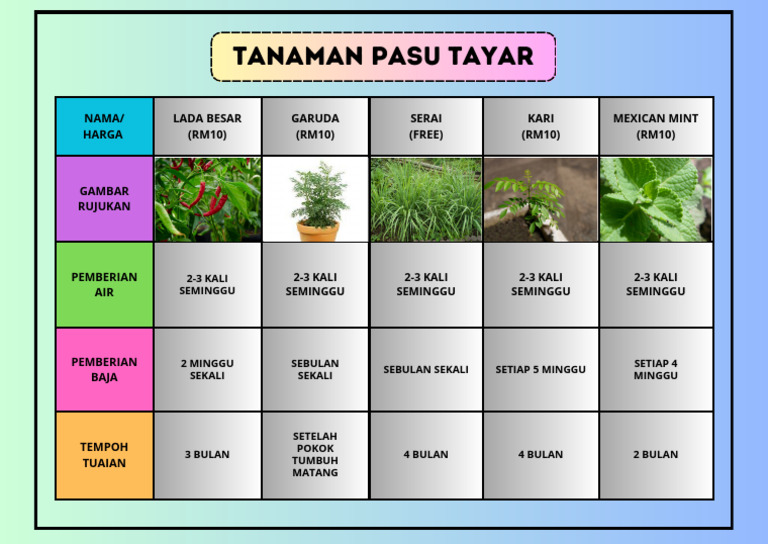 Tanaman Pasu Tayar | PDF