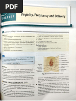 Defloration Report | PDF | Vagina | Virginity