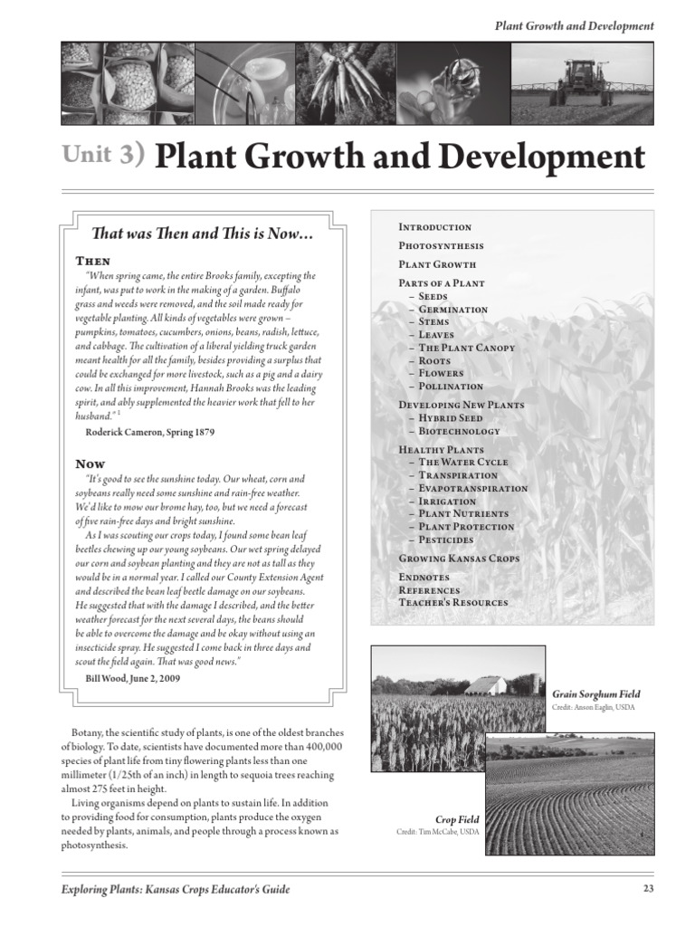 03 Plant Growth | PDF | Leaf | Seed