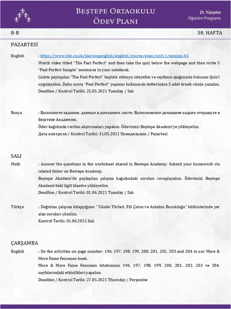 8-b 38. Hafta Odev Plani | PDF