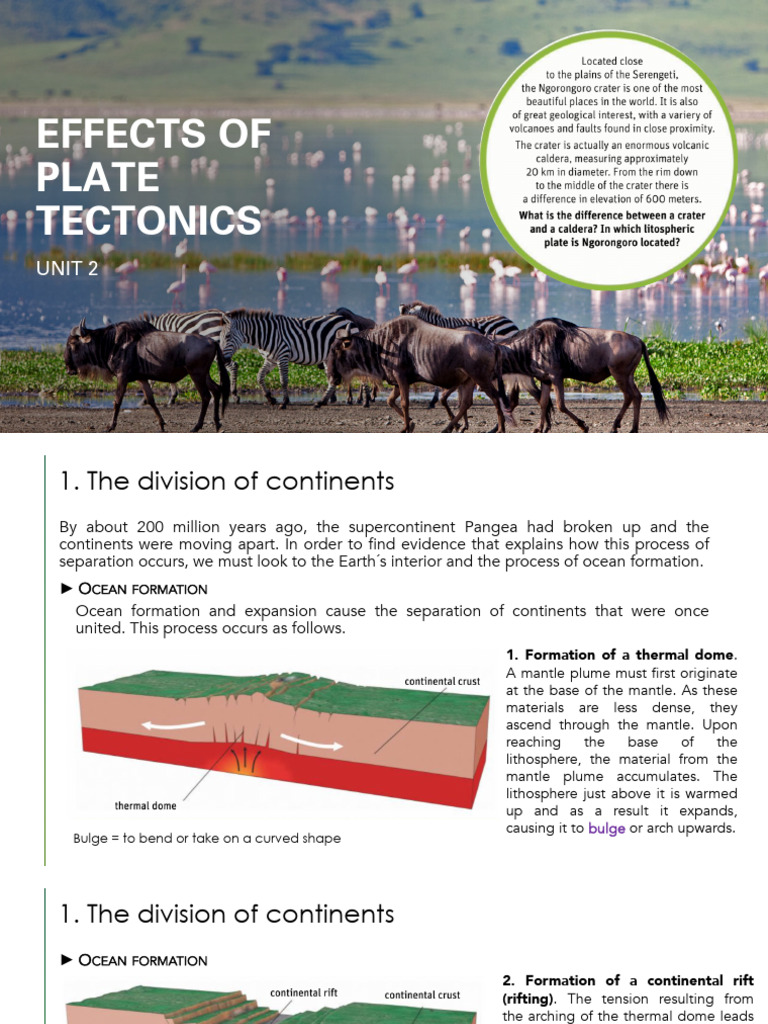 Effects of Plate Tectonics Explained | PDF | Plate Tectonics | Mountains