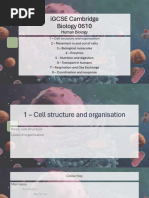 Specialised Animal Cells - Living Organisms - KS3 Biology - BBC ...