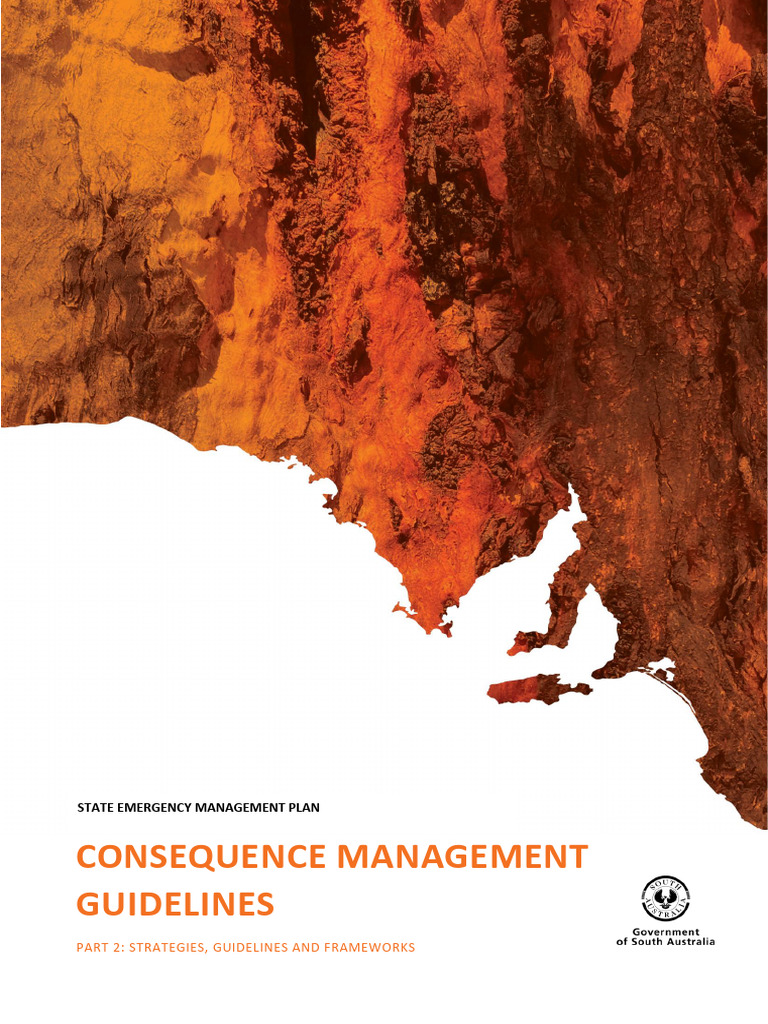 Consequence Management Strategies Guide | PDF | Scenario Planning ...