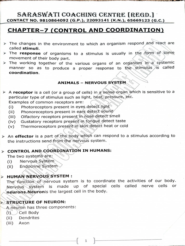 Control & Coordination | PDF