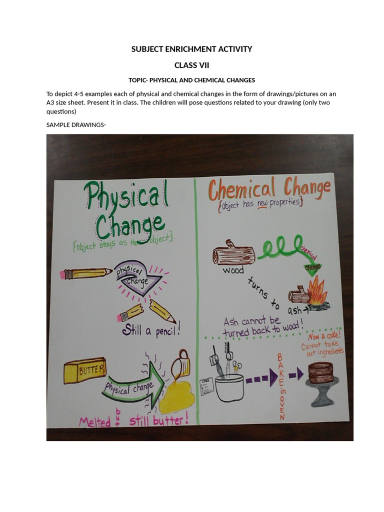 Subject Enrichment Activity Class 7 | PDF