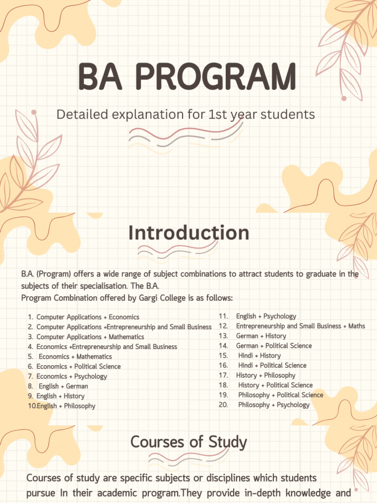 BA PROGRAM Explanation - 20250803 - 154512 - 0000 | PDF