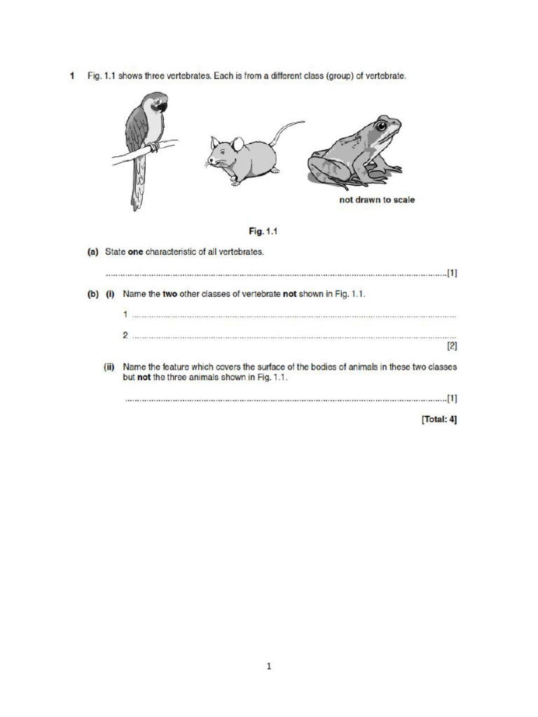 Classification Worksheet | PDF