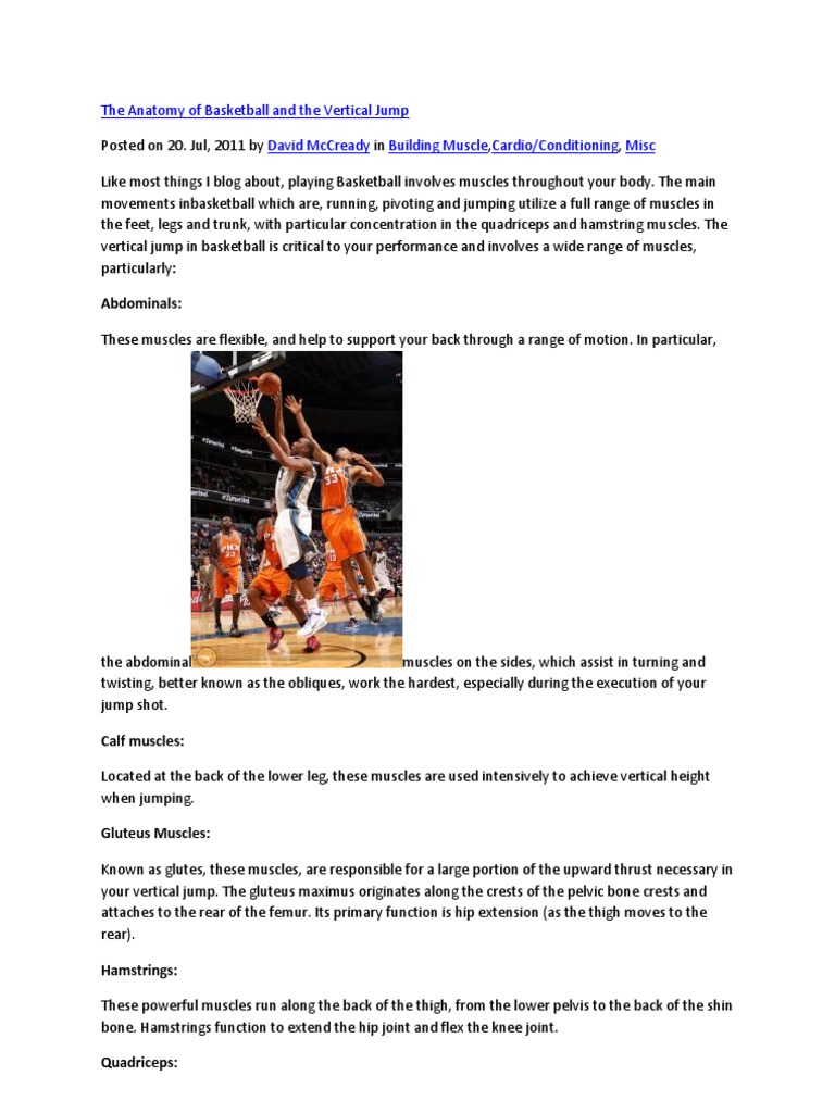 The Muscles Involved in Basketball and Strategies for Preventing Common ...