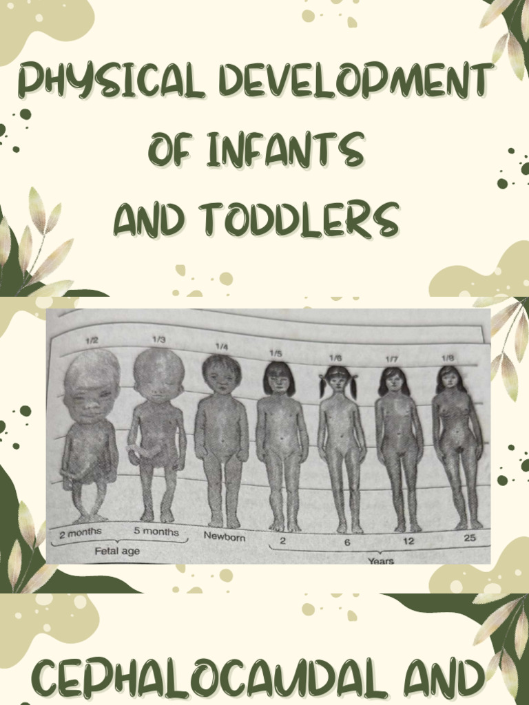 Physical Development of Infants and Toddlers | PDF | Infants | Perception