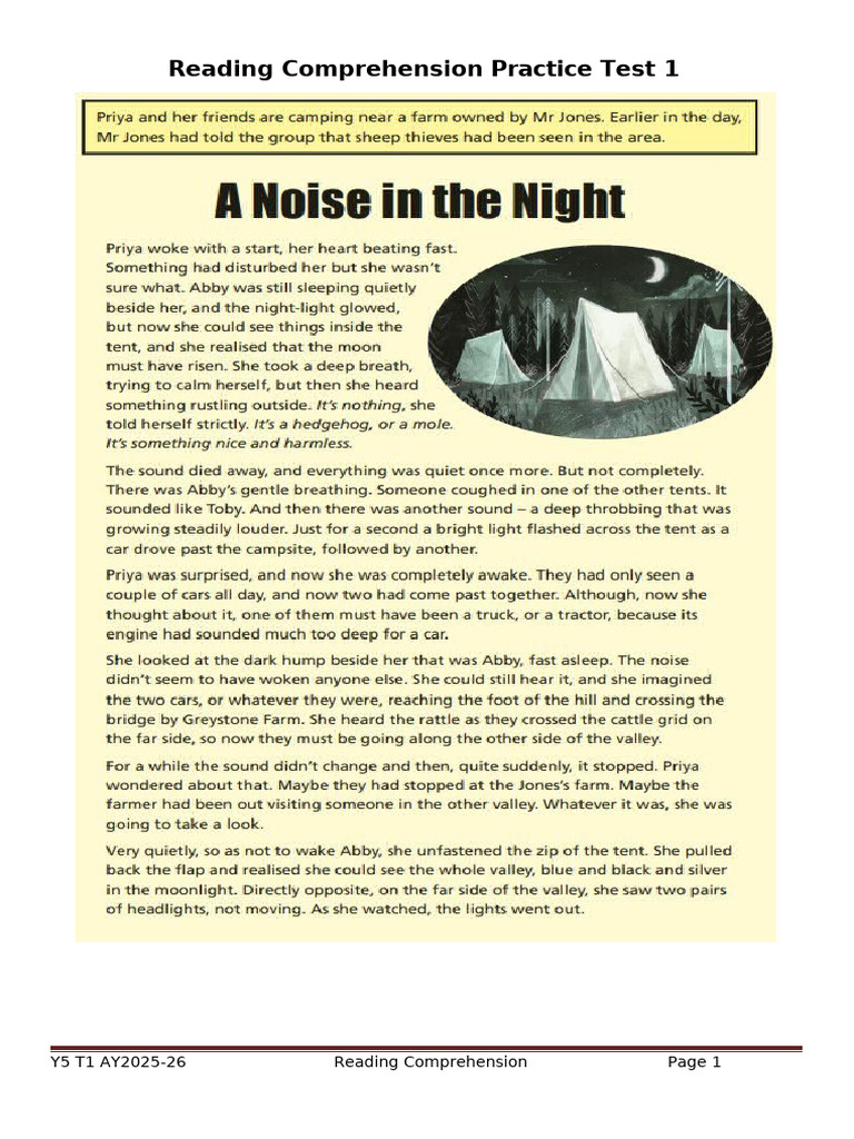 Year 5 Reading Comprehension Tests | PDF | Sea | Sand