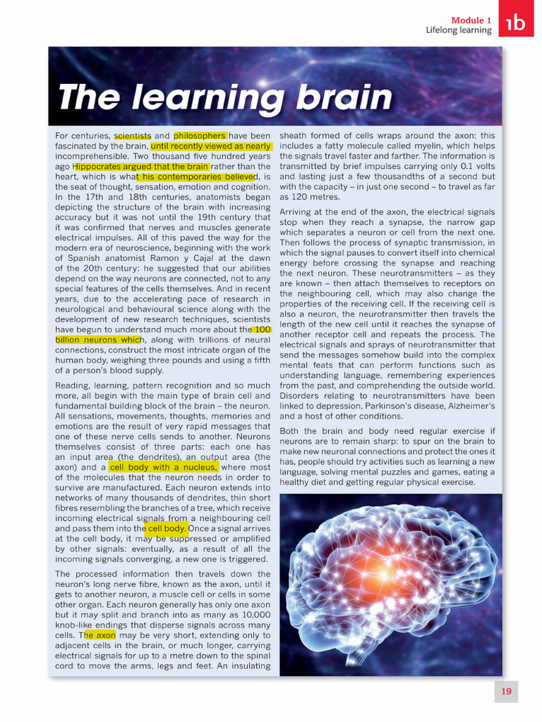 Reading - The Learning Brain | PDF