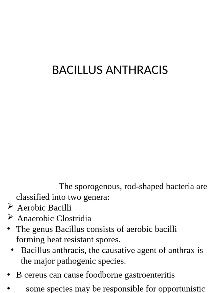 Overview of Bacillus anthracis and Anthrax | PDF | Anthrax | Bacillus