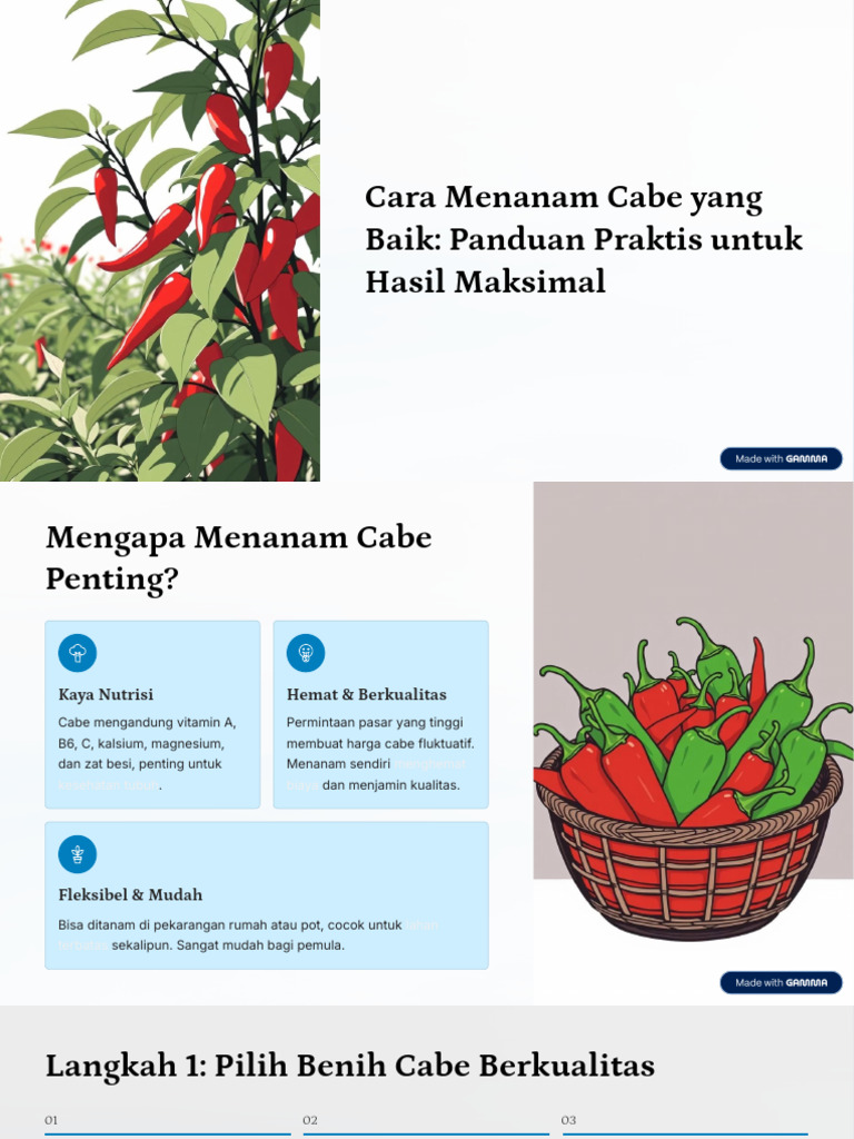 Cara Menanam Cabe Yang Baik Panduan Praktis Untuk Hasil Maksimal | PDF