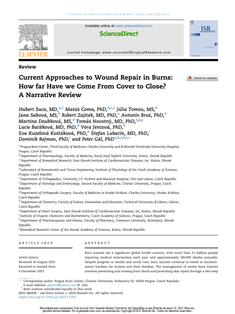 Šuca H Current Approaches To Wound Repair in Burns How Far Have We Come ...