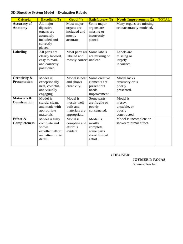 3D Digestive System Model Rubric | PDF