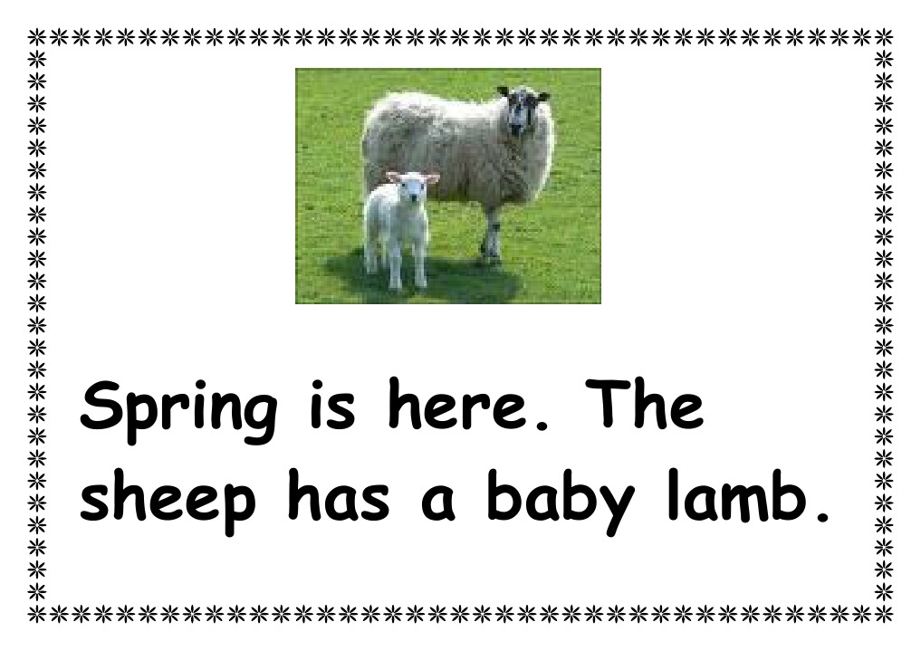 Spring Is Here. The Sheep Has A Baby Lamb | PDF