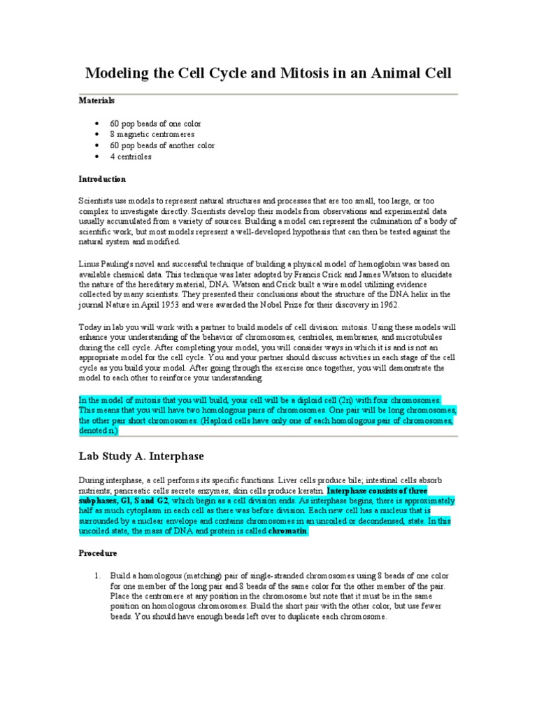 Modeling The Cell Cycle and Mitosis | PDF | Mitosis | Chromosome