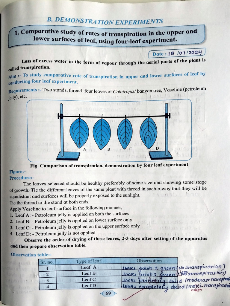 Four Leaf Experiment | PDF