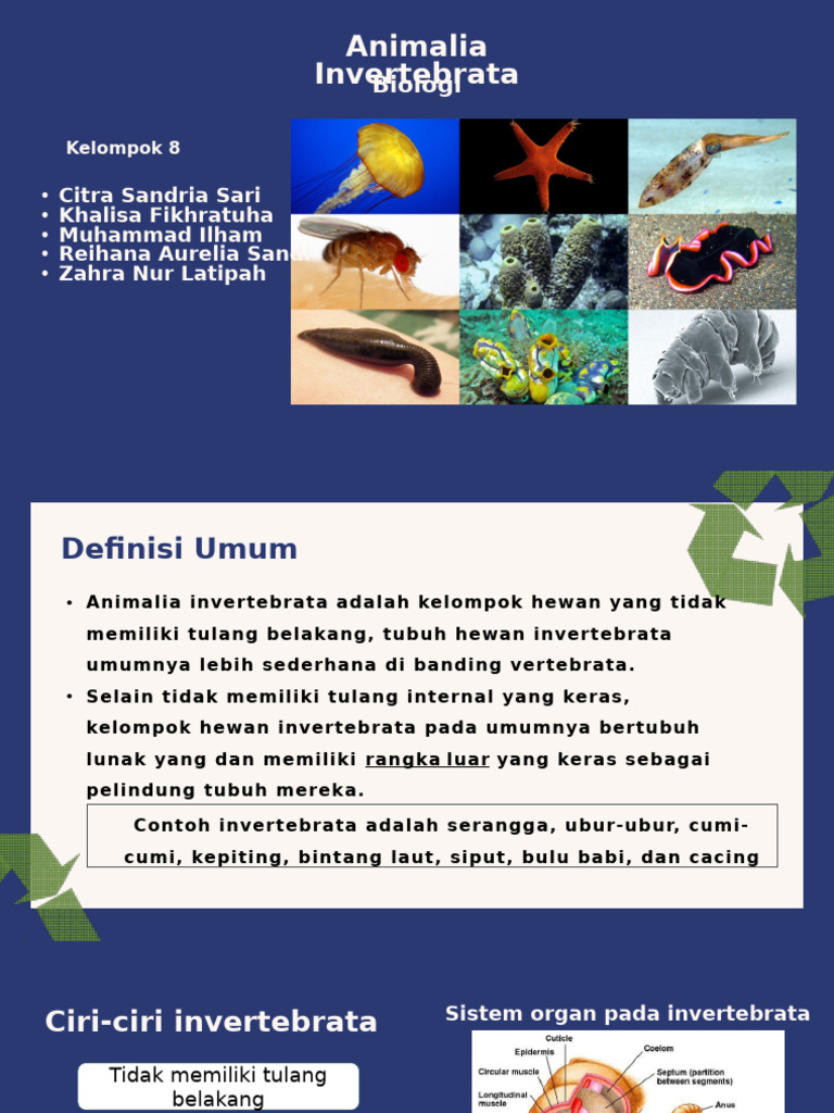 Hewan Invertebrata (Biologi) | PDF