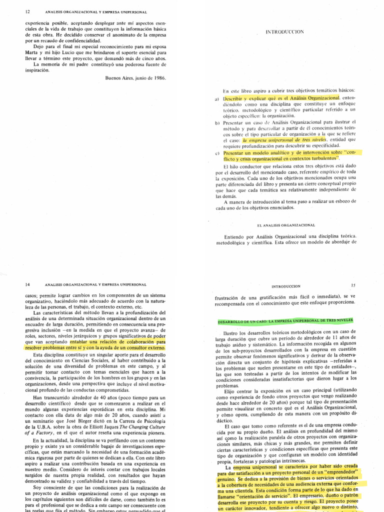 Schlemenson. Análisis organizacional. Introd. Caps. 1 al 3 | PDF