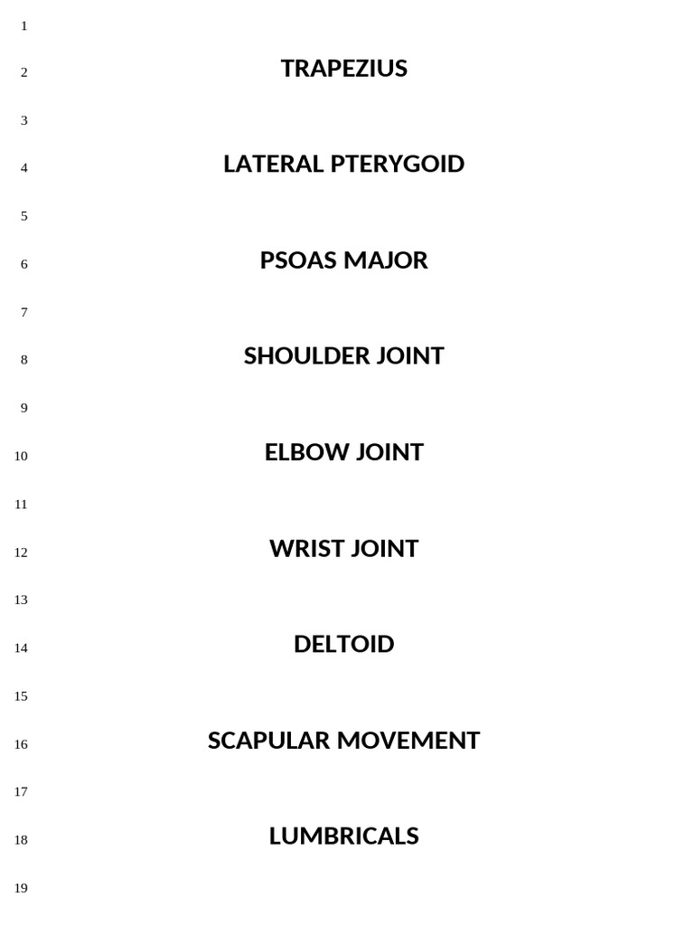 Major Muscle Groups and Joints Overview | PDF