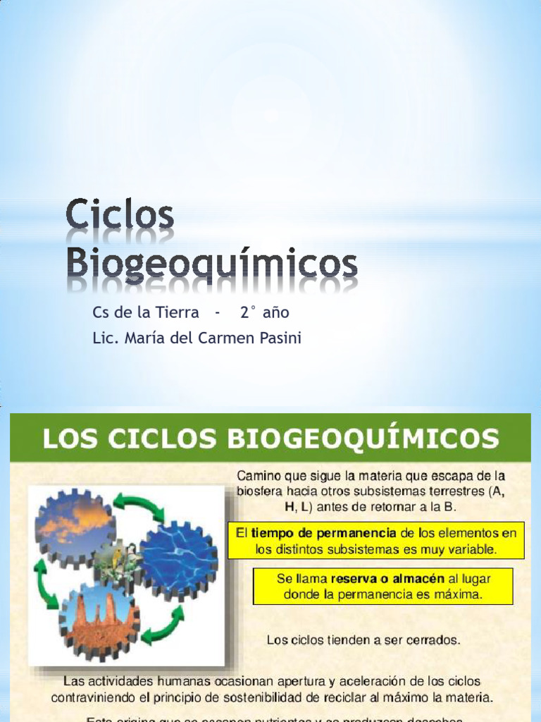Ciclos Biogeoquimicos | PDF