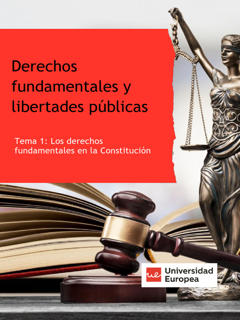 Derechos Fundamentales y Libertades Públicas: Tema 1: Los Derechos ...