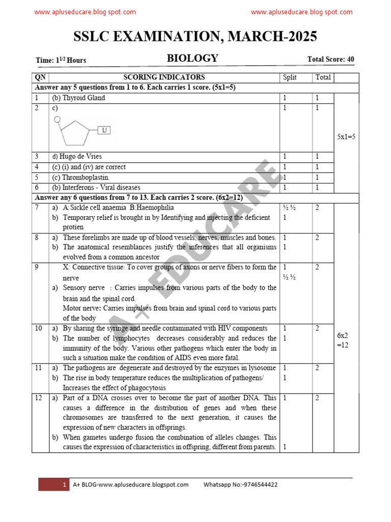 A Blog SSLC Examination 2025 Biology em Ans Key | PDF | Insulin | Nerve