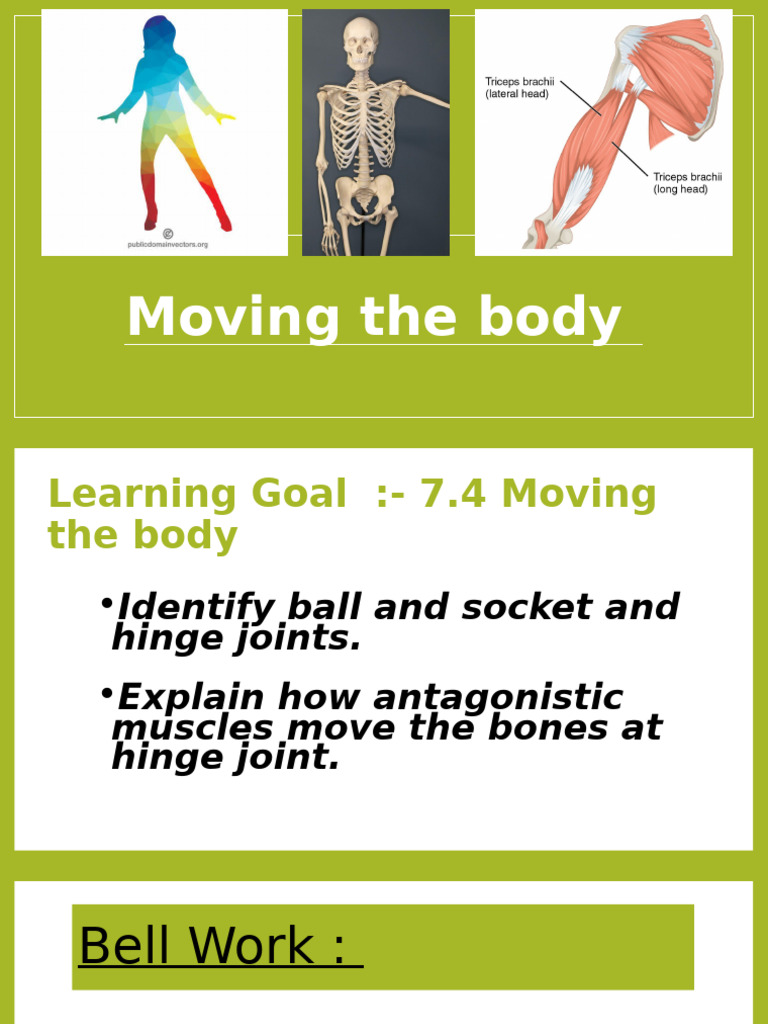 L7 Moving The Body | PDF | Shoulder | Hip