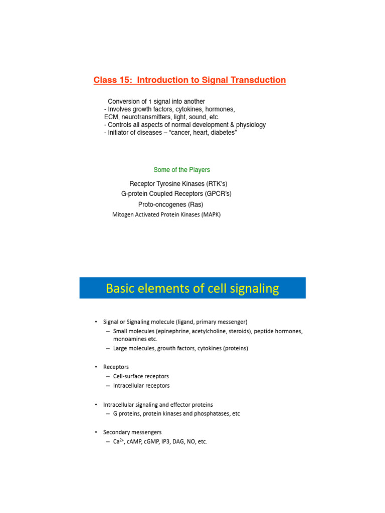 Class15 - Intro To Signal Transduction-2 | PDF | Cell Signaling ...