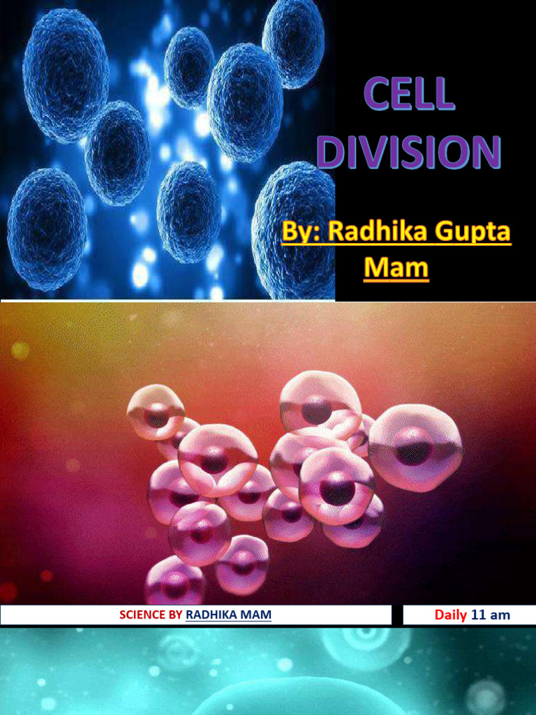 Cell Division (Class Notes) | PDF