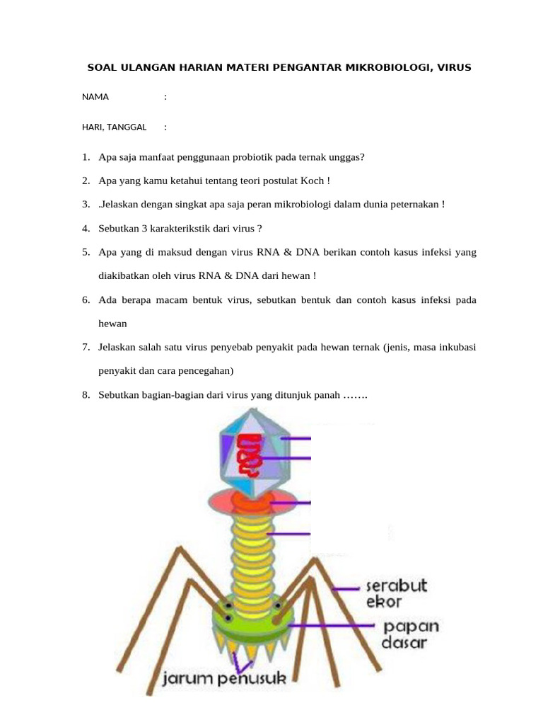 Soal Ulangan Harian Mikrobiologi Virus | PDF