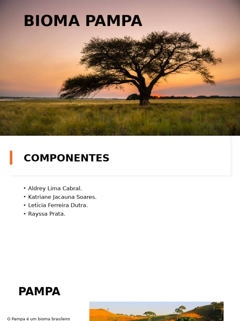 Bioma Pampa | PDF