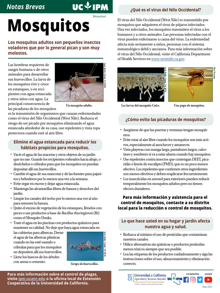 Control de Mosquitos y Prevención de Enfermedades | PDF | Mosquito | Virus