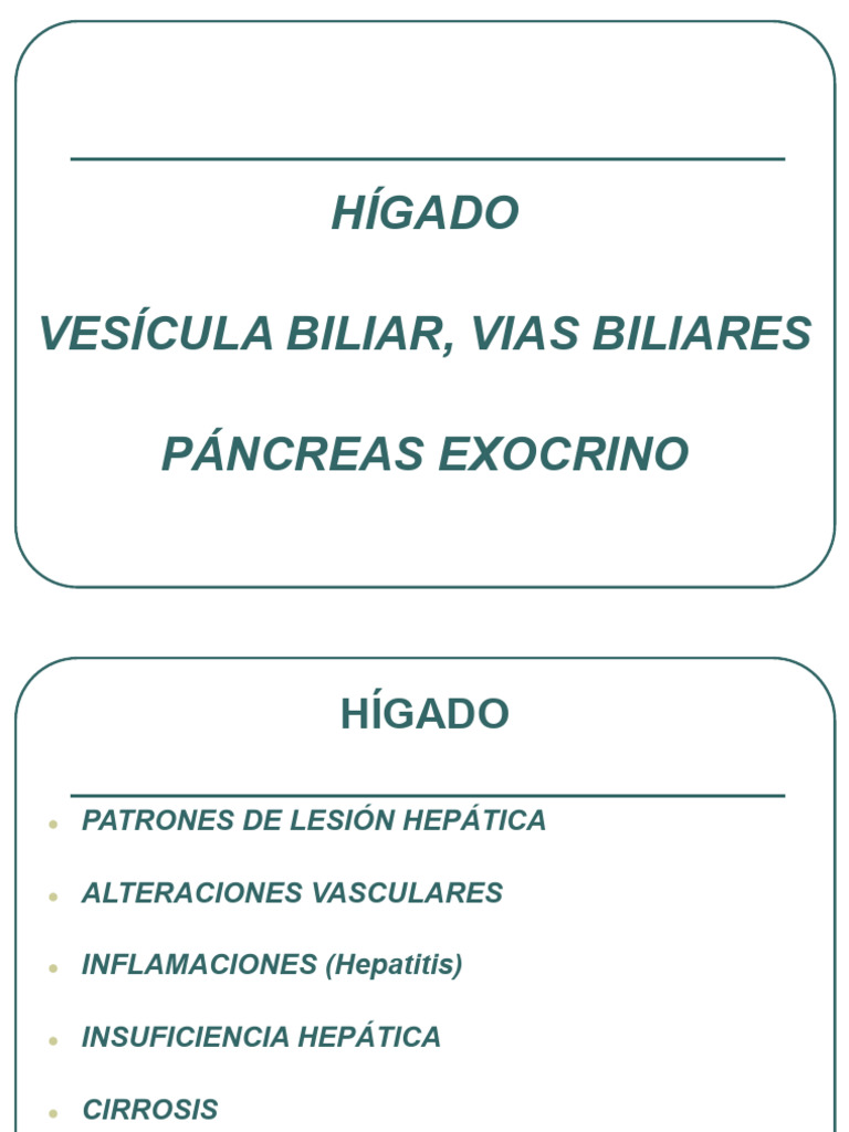 Enfermedades Hepáticas y Biliares: Guía Completa | PDF | Hepatitis ...