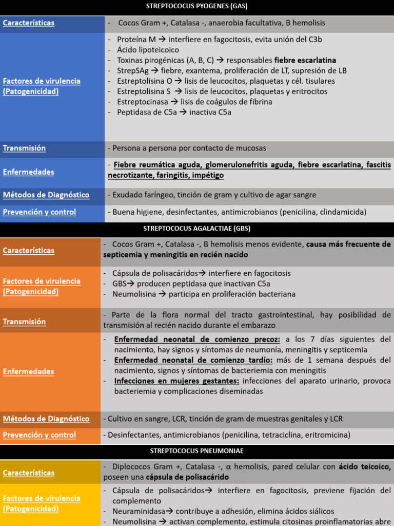 Características y enfermedades de bacterias Gram+ y Gram- | PDF ...