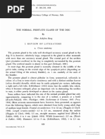 Normal Prostate Size in Dogs | PDF | Prostate | Medical Ultrasound