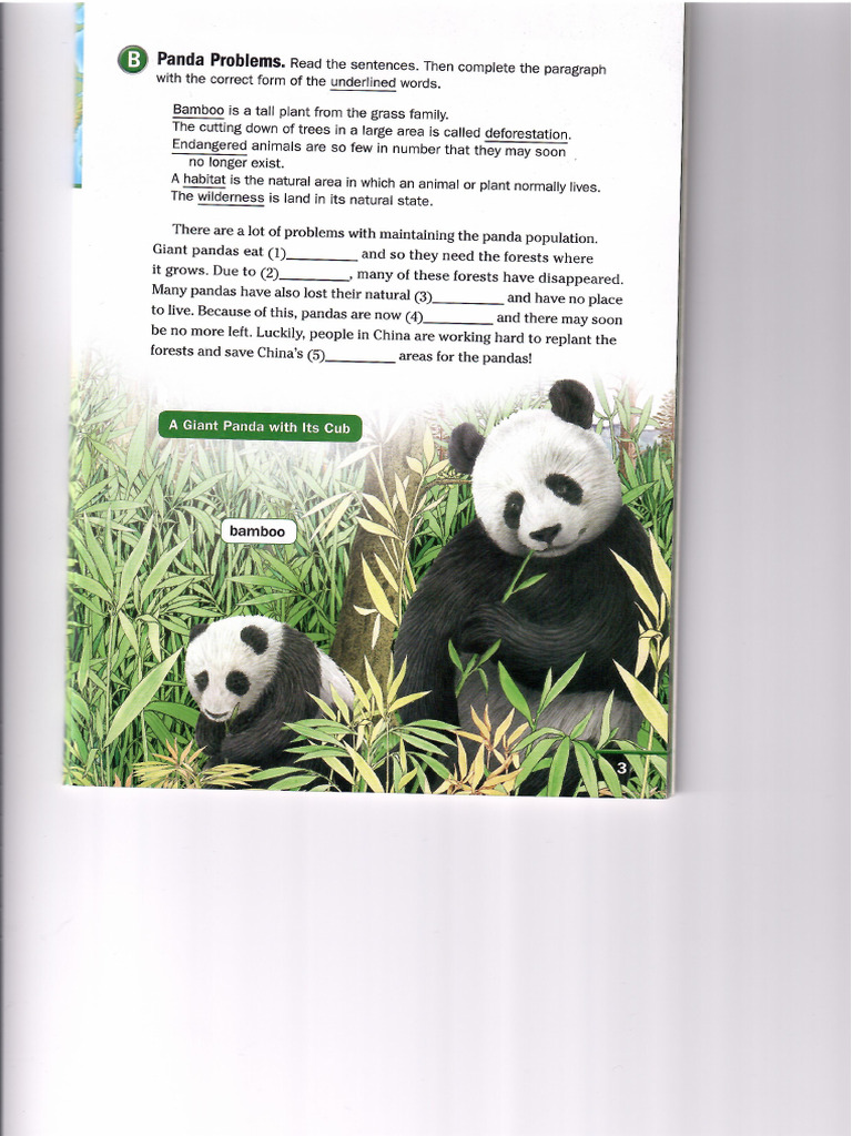 Pandas 2 | PDF
