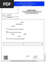 Remplir le formulaire E411 CAF | PDF | Droit