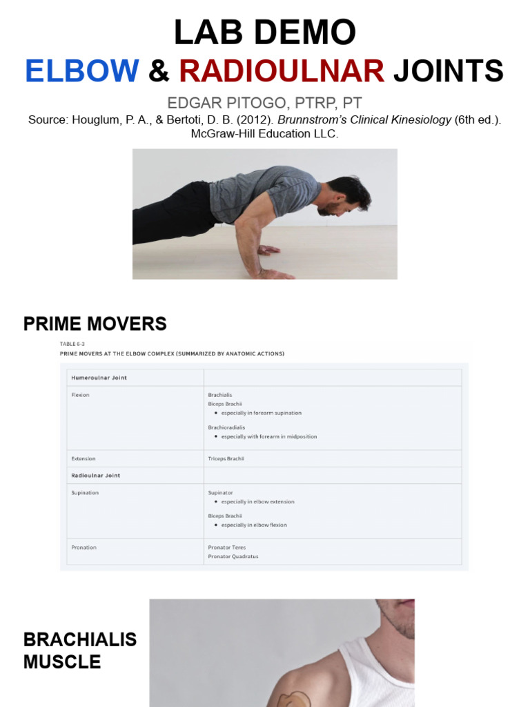 Lab Demo - Elbow and Ru Joints | PDF