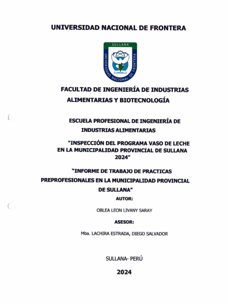 Informe de Practicas Pre Profesionales | PDF