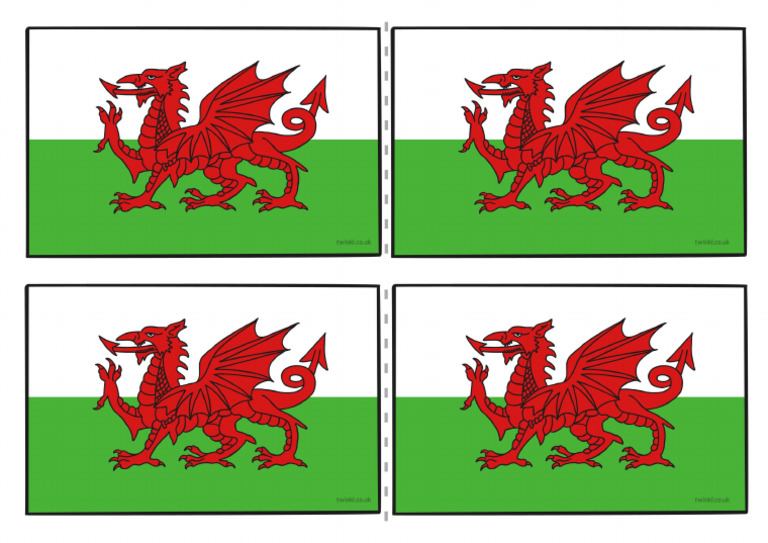 T T 27969 Welsh Handheld Flags | PDF