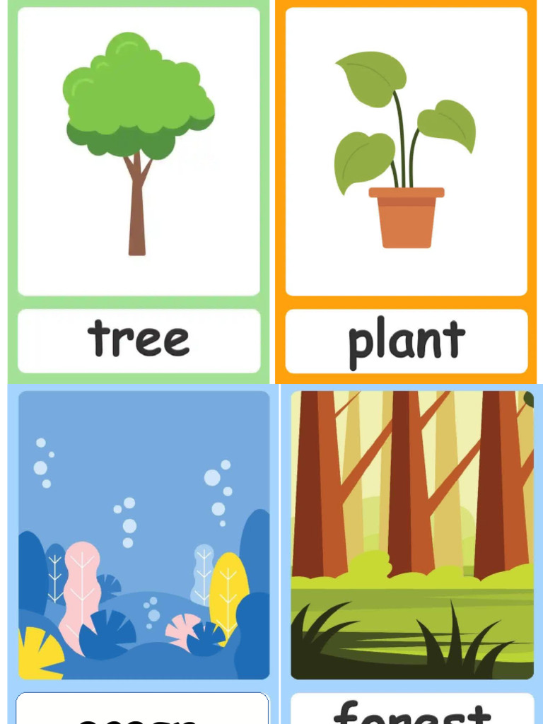 Nature Flashcards | PDF