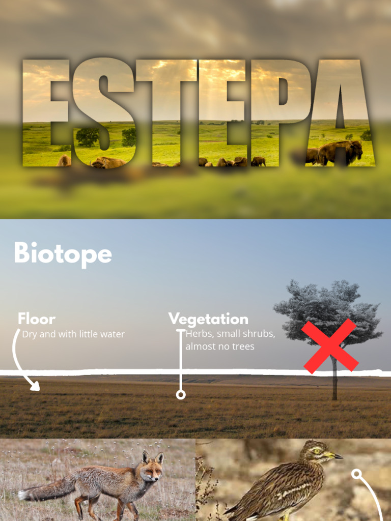 Steppe Biotope: Flora and Fauna Insights | PDF
