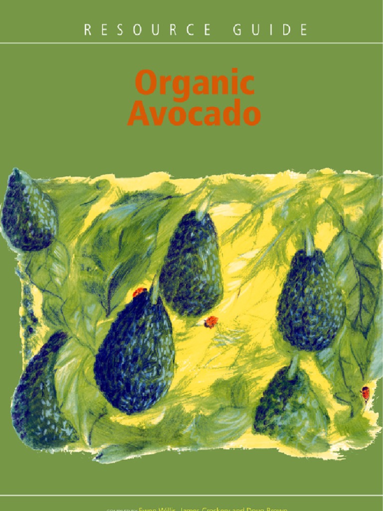 Organic Avocado | PDF | Organic Farming | Grafting