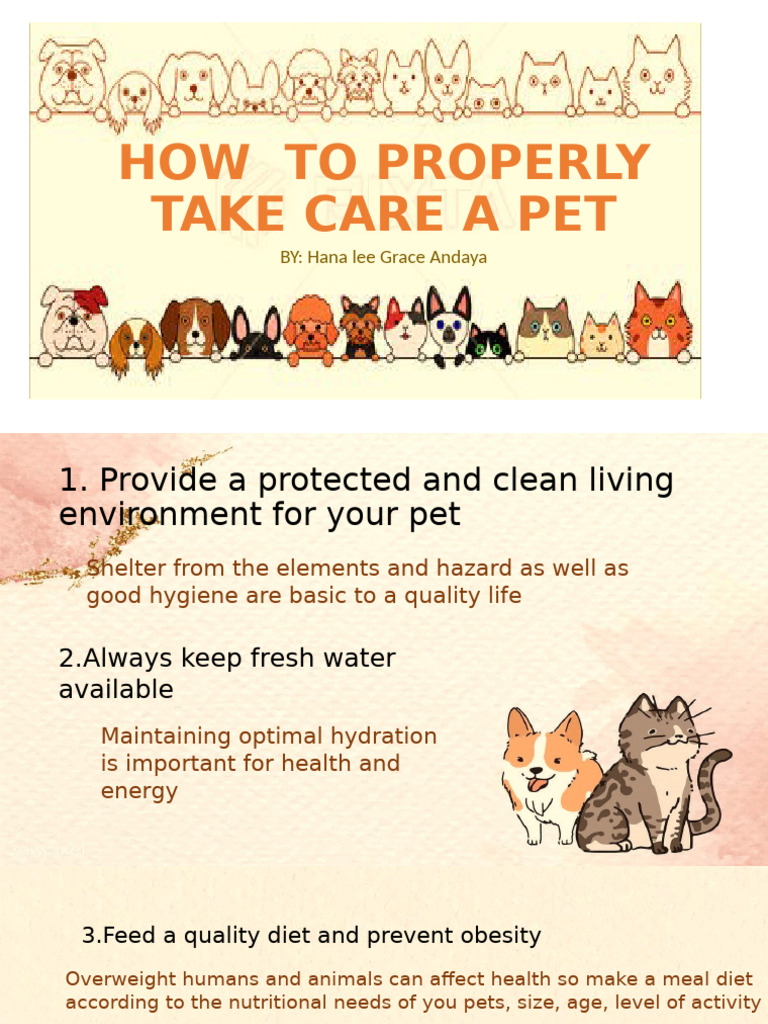 Essential Pet Care Tips for Owners | PDF