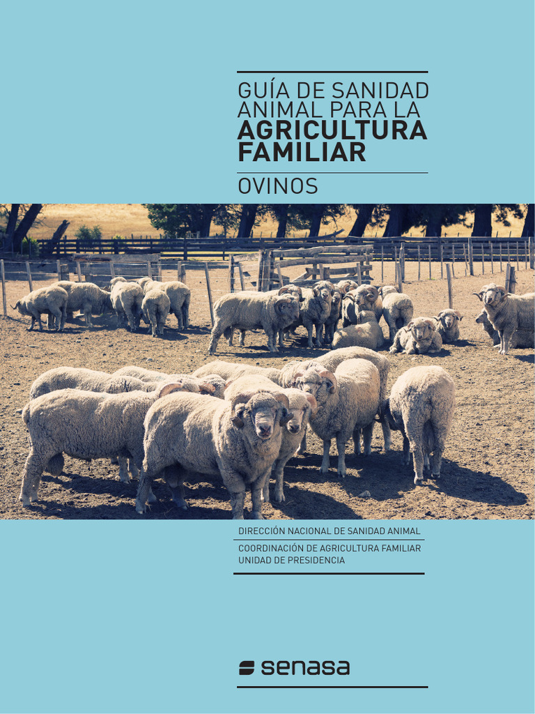 Sanidad Animal en Ovinocultura Familiar | PDF | Oveja | Alimentos